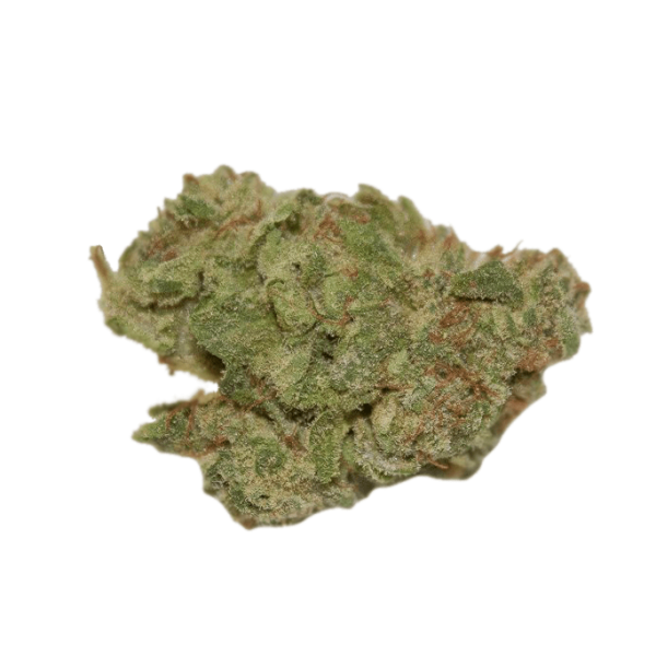 Scarborough Marijuana Dispensary | Mississauga Weed Delivery GG4 Store